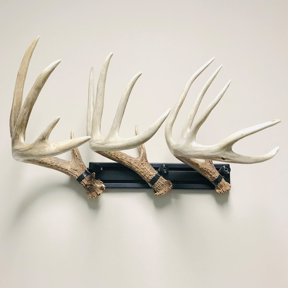 Sheds – Rack Track Co.