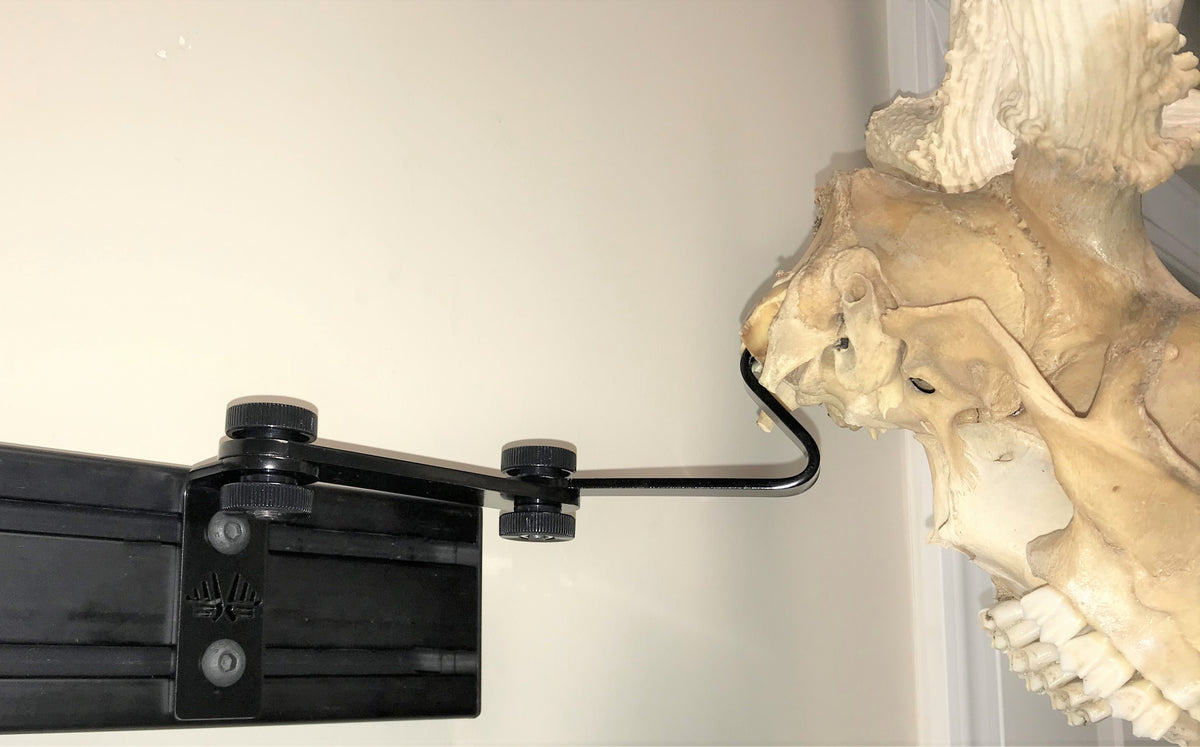 Pivoting European Skull Mount Bracket – Rack Track Co.