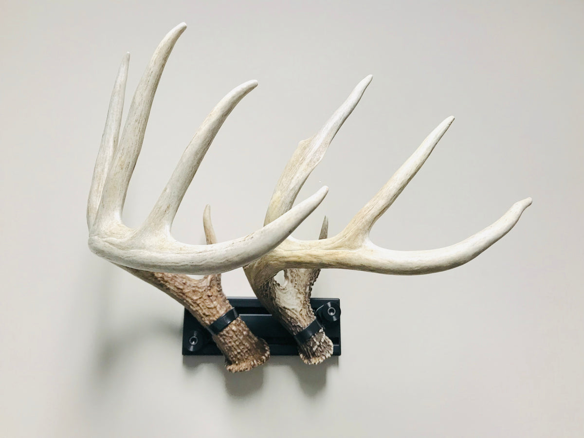 8” - Kit #4 - Shed Antler Mounts – Rack Track Co.
