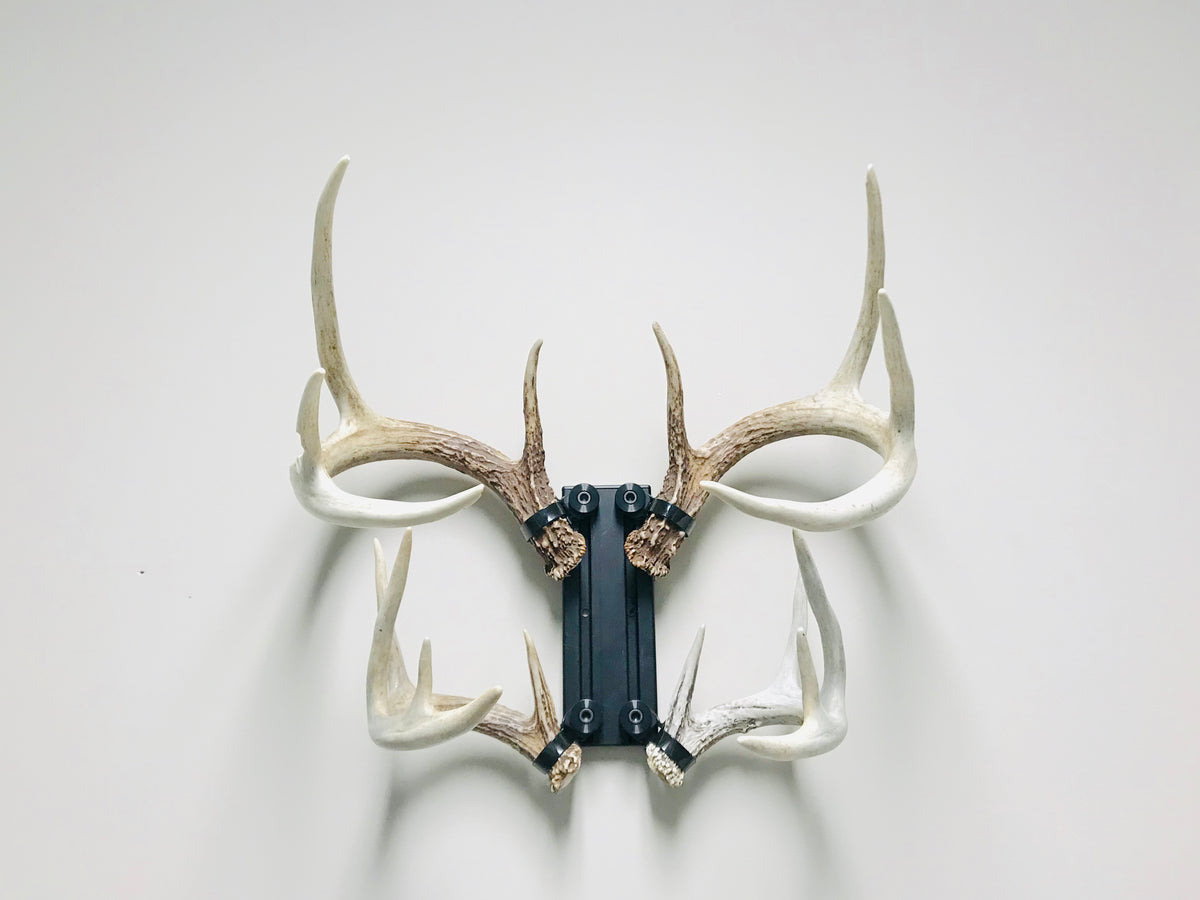 8” - Kit #4 - Shed Antler Mounts – Rack Track Co.
