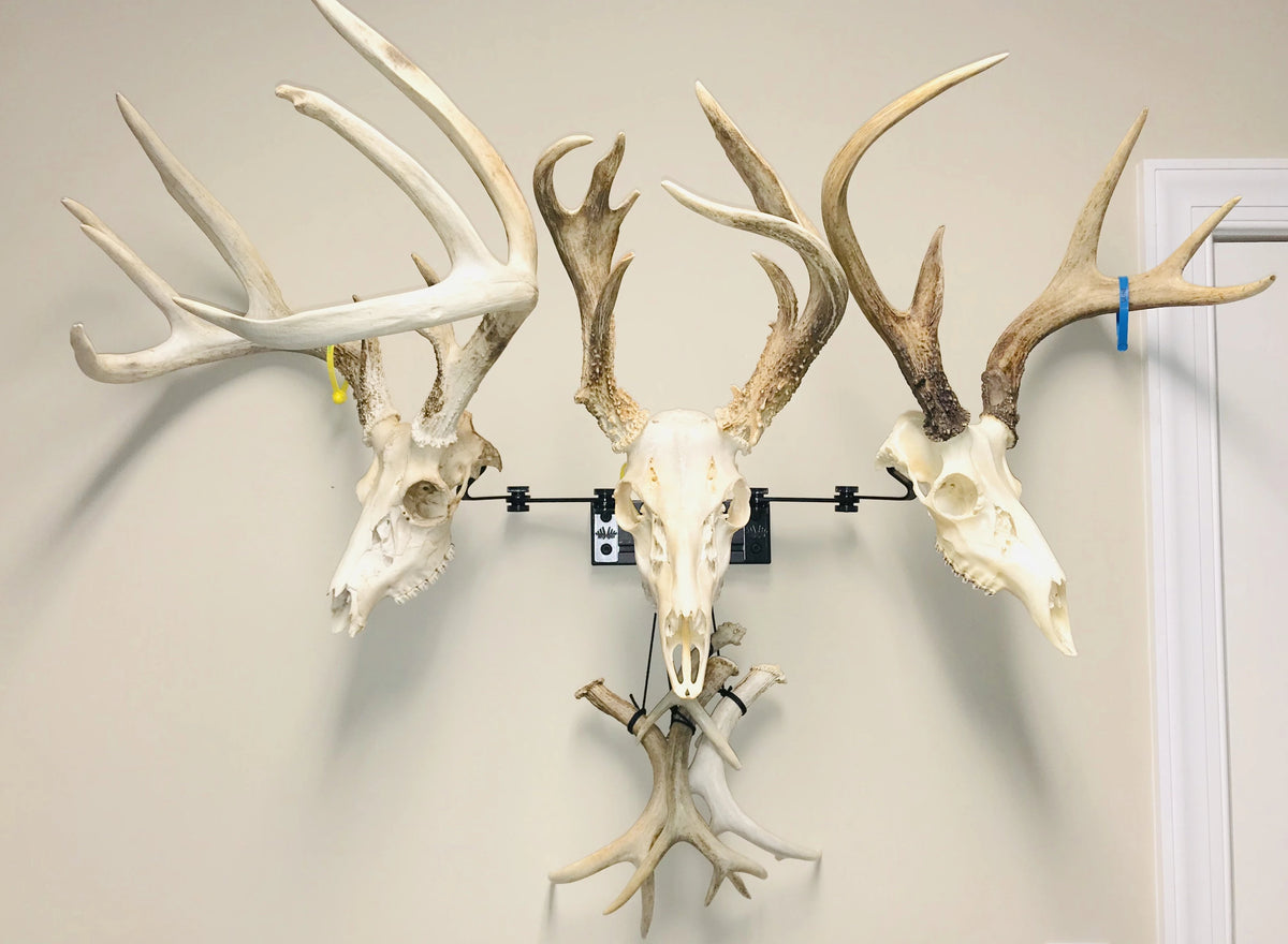 8” - Kit #3 - 3 Pivoting Skull Mounts – Rack Track Co.